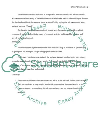 Differences between macro and micro Essay Example | Topics and Well ... Differences between macro and micro Essay Example | Topics and Well ...